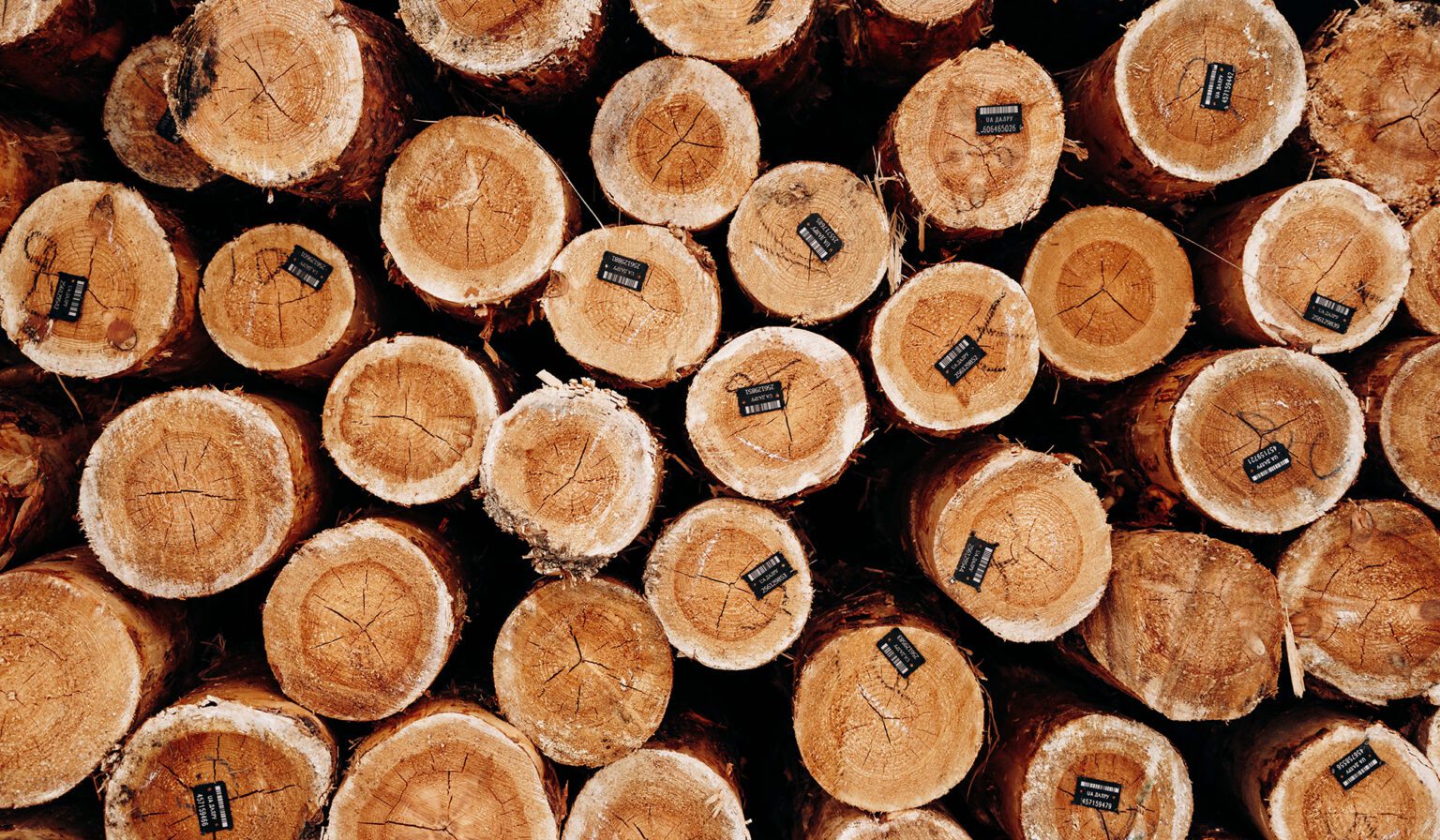 Про CLT - CLT Rezult